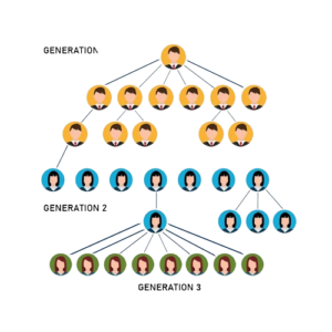 20% off | Best MLM Software Company in Lucknow - SWA MLM